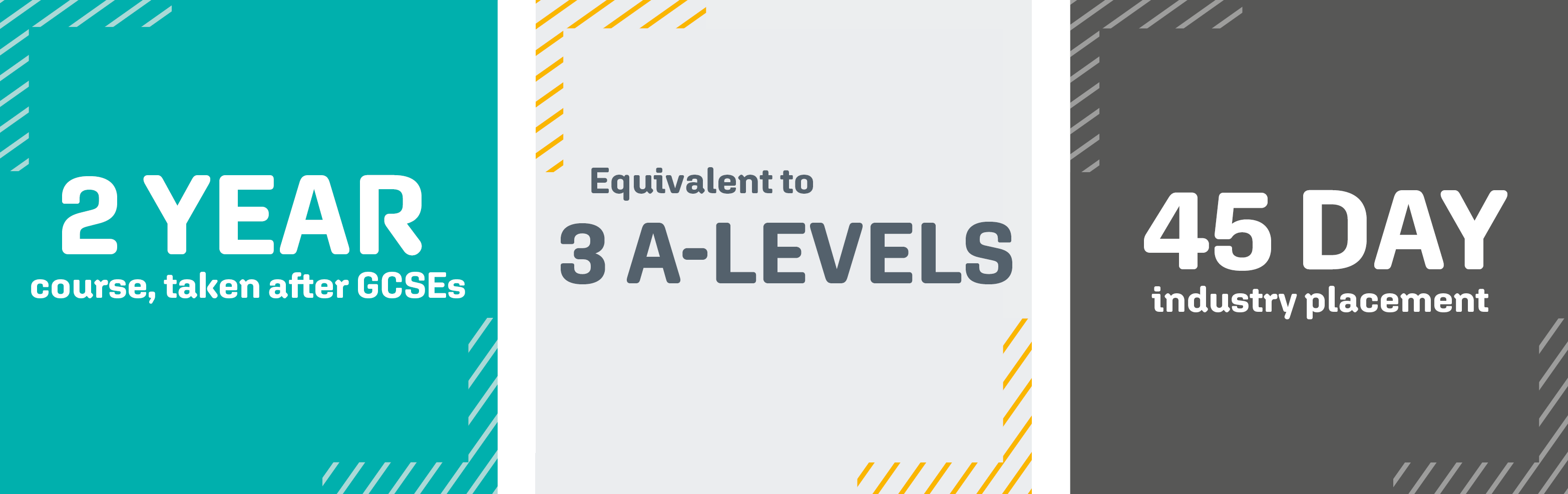 T Levels